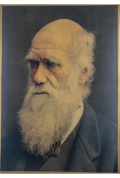 Caph Design Darwin Vintage Kraft Poster - 35X50 - Özel Kutulu Caph Design Darwin Vintage Kraft Poster - 35X50 - Özel Kutulu