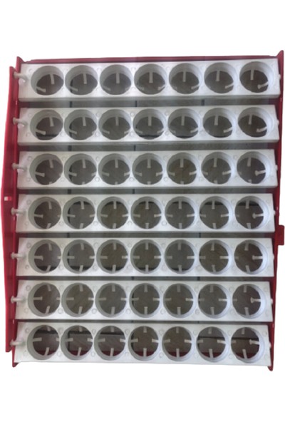 Efe Kuluçka Makineleri Efe Kuluçka Makineleri 49'lu Tavuk Yumurtası Viyolü 46,5 x 38 x 14 cm Efe Kuluçka Makineleri Efe Kuluçka Makineleri 49'lu Tavuk Yumurtası Viyolü 46,5 x 38 x 14 cm