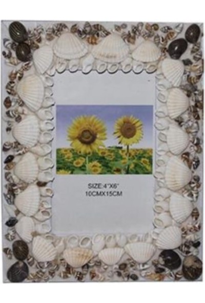 Aydınlı Ahşap Deniz Kabuklu Fotoğraf Çerçevesi Dekoratif lik