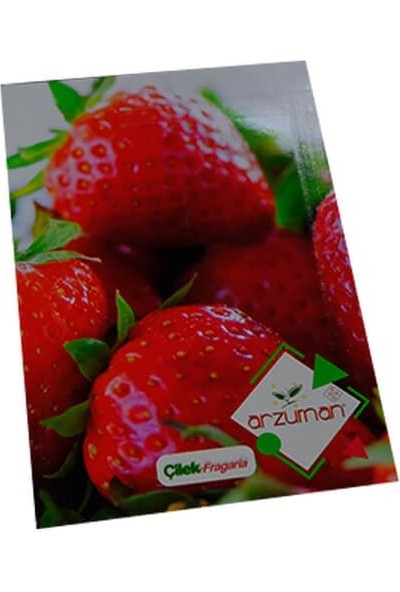 Arzuman Yazlık Meyve Çilek Tohumu