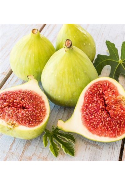 ALİ BOTANİK Sarı Lop Incir Fidanı