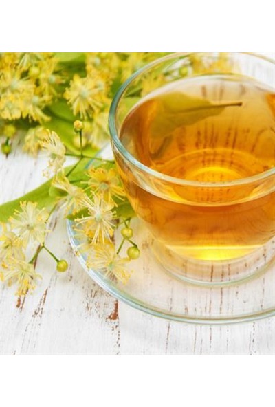 ALİ BOTANİK Ihlamur Ağacı Fidanı 60 cm