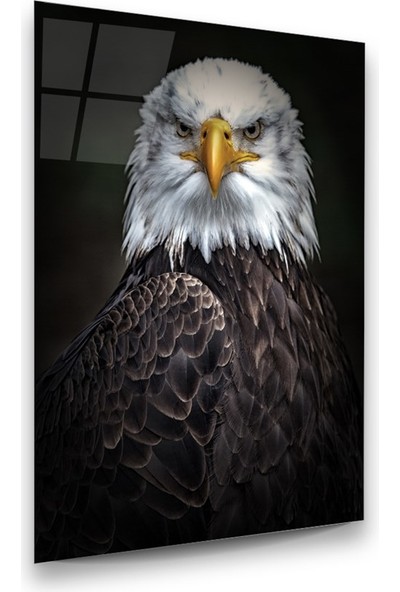 Glass Art Kartal Dikey Cam Tablo Glass Art Kartal Dikey Cam Tablo