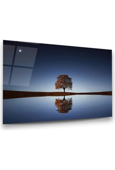 Glass Art Yalnız Ağaç Manzara Yatay Cam Tablo Glass Art Yalnız Ağaç Manzara Yatay Cam Tablo