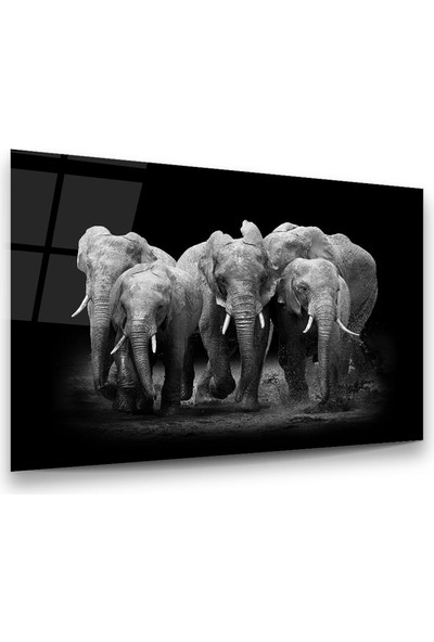 Glass Art Filler Yatay Cam Tablo