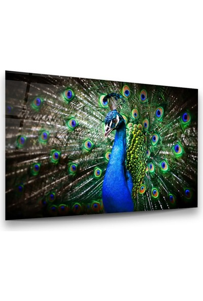 Glass Art Tavus Kuşu Yatay Cam Tablo Glass Art Tavus Kuşu Yatay Cam Tablo