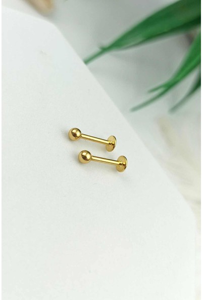 ÇLK Accessories 316 L Cerrahi Çelik 2 Li Toplu Piercing TRPIERCING079 PIERX050*2X