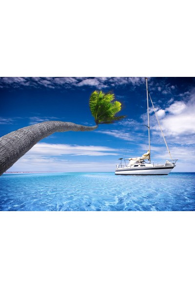 Cici Wallpaper 320 x 270 cm 3 Boyutlu Duvar Kağıdı Poster