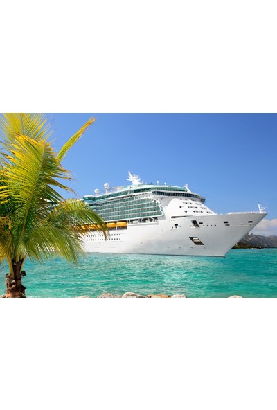 Cici Wallpaper 320 x 270 cm 3 Boyutlu Duvar Kağıdı Poster Cici Wallpaper 320 x 270 cm 3 Boyutlu Duvar Kağıdı Poster