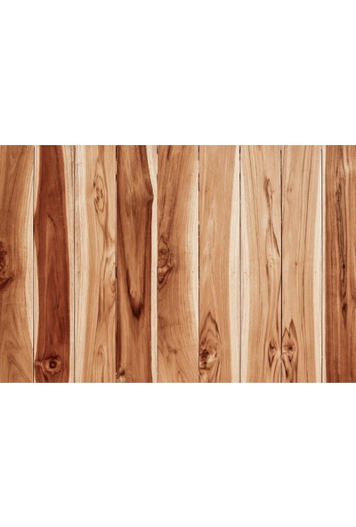 Cici Wallpaper 320 x 270 cm 3 Boyutlu Duvar Kağıdı Poster