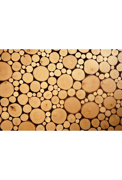 Cici Wallpaper 320 x 270 cm 3 Boyutlu Duvar Kağıdı Poster