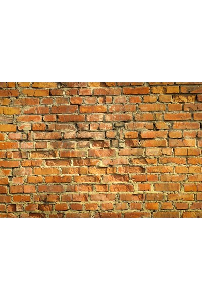 Cici Wallpaper 320 x 270 cm 3 Boyutlu Duvar Kağıdı Poster Cici Wallpaper 320 x 270 cm 3 Boyutlu Duvar Kağıdı Poster