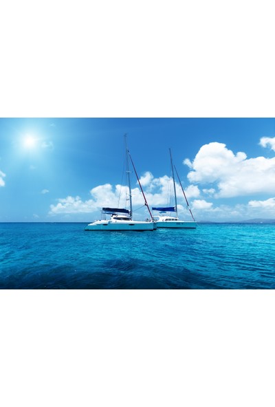 Cici Wallpaper 215 x 150 cm 3 Boyutlu Duvar Kağıdı Poster