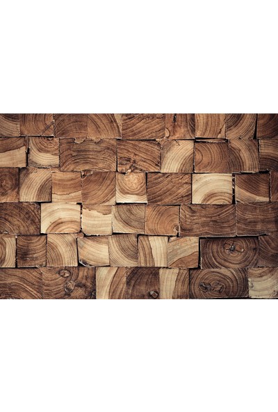 Cici Wallpaper 215 x 150 cm 3 Boyutlu Duvar Kağıdı Poster