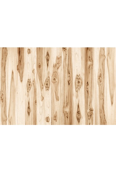 Cici Wallpaper 215 x 150 cm 3 Boyutlu Duvar Kağıdı Poster