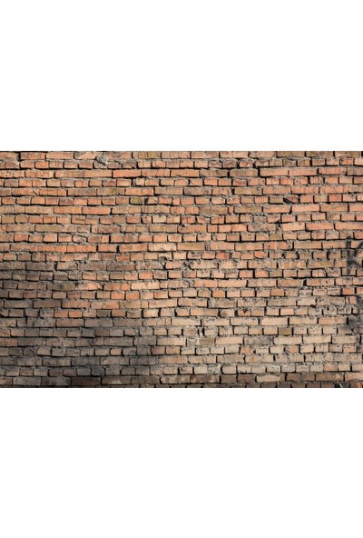 Cici Wallpaper 320 x 200 cm 3 Boyutlu Duvar Kağıdı Poster