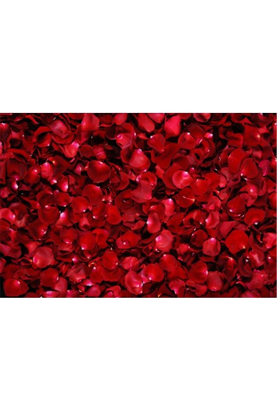 Cici Wallpaper 215 x 150 cm 3 Boyutlu Duvar Kağıdı Poster