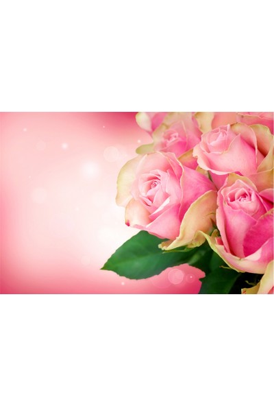 Cici Wallpaper 215 x 150 cm 3 Boyutlu Duvar Kağıdı Poster