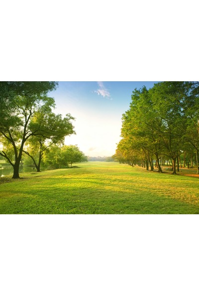 Cici Wallpaper 320 x 270 cm 3 Boyutlu Duvar Kağıdı Poster