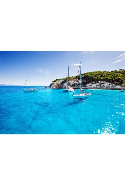 Cici Wallpaper 320 x 270 cm 3 Boyutlu Duvar Kağıdı Poster