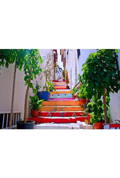 Cici Wallpaper 320 x 200 cm 3 Boyutlu Duvar Kağıdı Poster