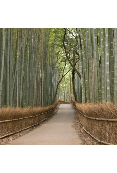 Cici Wallpaper 215 x 150 cm 3 Boyutlu Duvar Kağıdı Poster Cici Wallpaper 215 x 150 cm 3 Boyutlu Duvar Kağıdı Poster