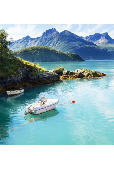 Cici Wallpaper 320 x 270 cm 3 Boyutlu Duvar Kağıdı Poster Cici Wallpaper 320 x 270 cm 3 Boyutlu Duvar Kağıdı Poster