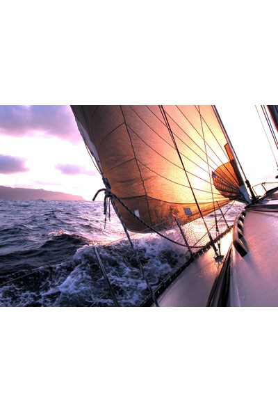 Cici Wallpaper 320 x 200 cm 3 Boyutlu Duvar Kağıdı Poster