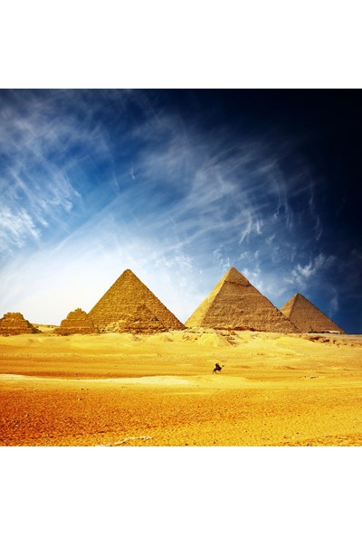 Cici Wallpaper 215 x 150 cm 3 Boyutlu Duvar Kağıdı Poster