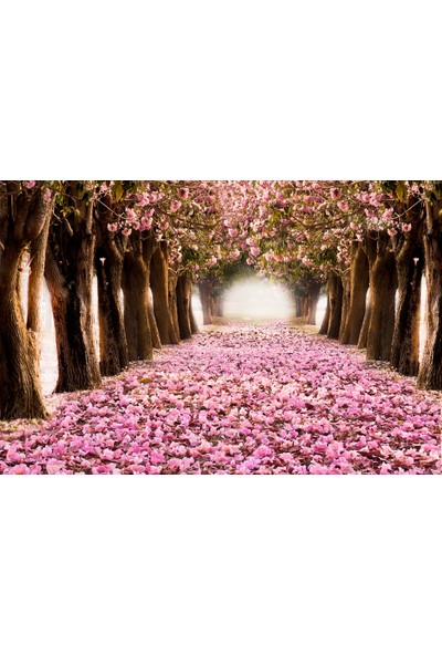 Cici Wallpaper 320 x 200 cm 3 Boyutlu Duvar Kağıdı Poster