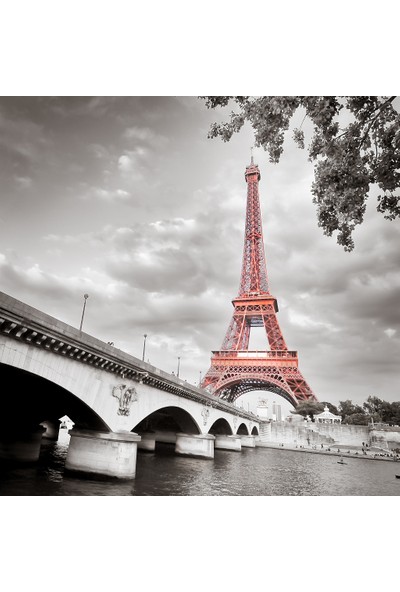 Cici Wallpaper 215 x 150 cm 3 Boyutlu Duvar Kağıdı Poster