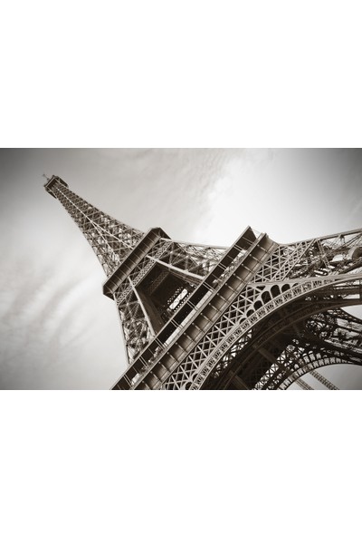 Cici Wallpaper 320 x 270 cm 3 Boyutlu Duvar Kağıdı Poster Cici Wallpaper 320 x 270 cm 3 Boyutlu Duvar Kağıdı Poster