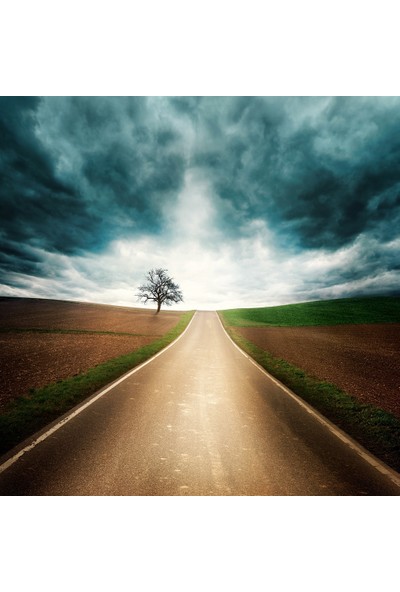 Cici Wallpaper 320 x 200 cm 3 Boyutlu Duvar Kağıdı Poster