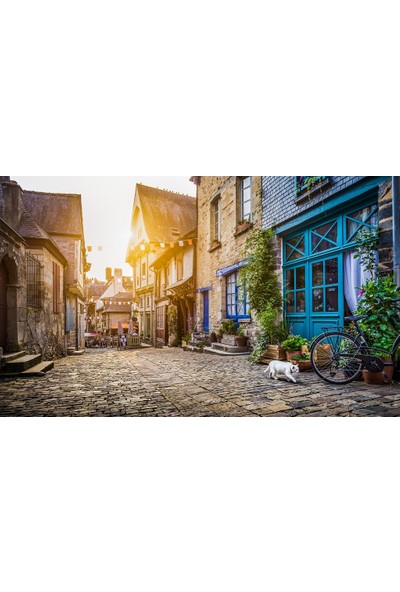 Cici Wallpaper 320 x 270 cm 3 Boyutlu Duvar Kağıdı Poster