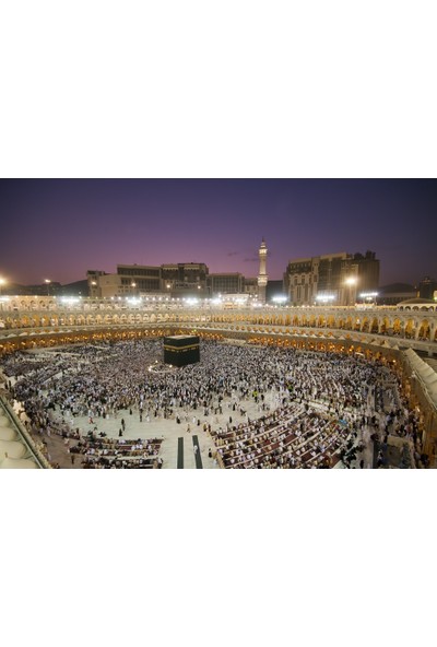 Cici Wallpaper 320 x 200 cm 3 Boyutlu Duvar Kağıdı Poster