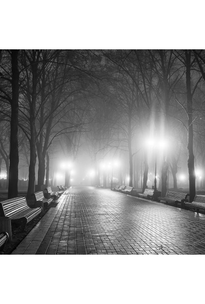 Cici Wallpaper 215 x 150 cm 3 Boyutlu Duvar Kağıdı Poster