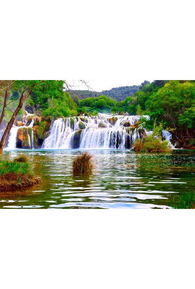 Cici Wallpaper 320 x 200 cm 3 Boyutlu Duvar Kağıdı Poster