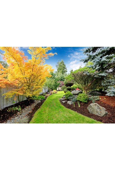 Cici Wallpaper 215 x 150 cm 3 Boyutlu Duvar Kağıdı Poster