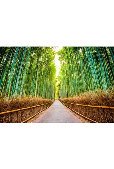 Cici Wallpaper 320 x 200 cm 3 Boyutlu Duvar Kağıdı Poster