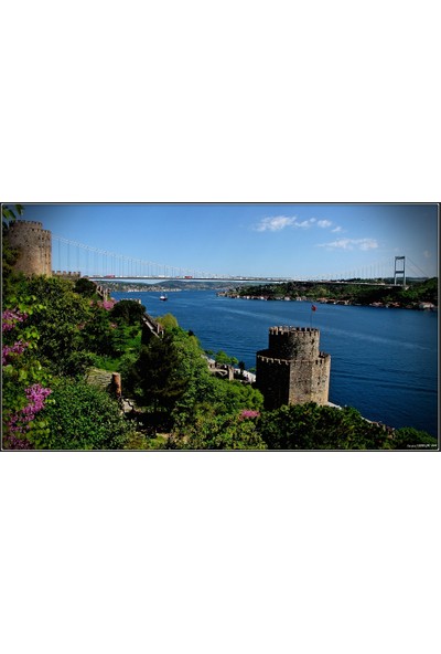 Cici Wallpaper 215 x 150 cm 3 Boyutlu Duvar Kağıdı Poster