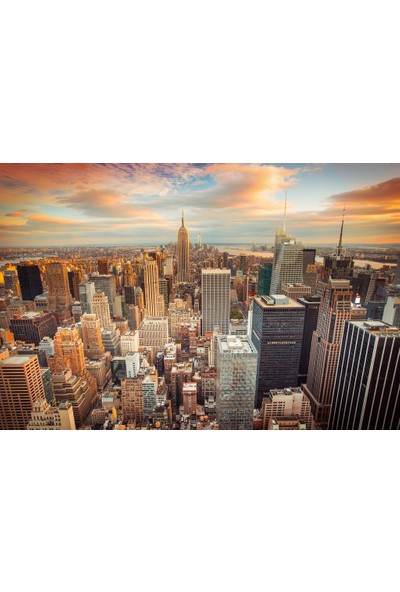 Cici Wallpaper 320 x 270 cm 3 Boyutlu Duvar Kağıdı Poster