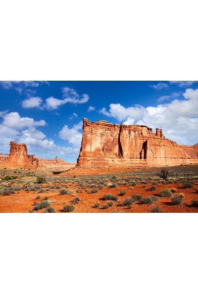 Cici Wallpaper 320 x 270 cm 3 Boyutlu Duvar Kağıdı Poster