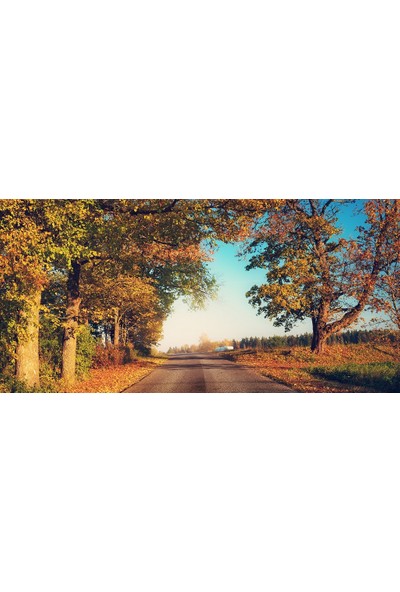 Cici Wallpaper 320 x 200 cm 3 Boyutlu Duvar Kağıdı Poster