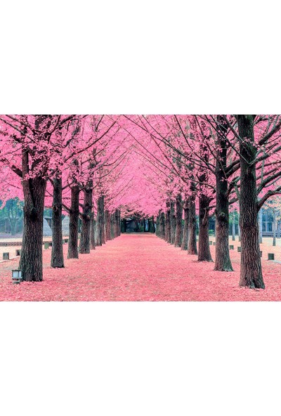 Cici Wallpaper 320 x 200 cm 3 Boyutlu Duvar Kağıdı Poster