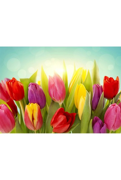 Cici Wallpaper 215 x 150 cm 3 Boyutlu Duvar Kağıdı Poster Cici Wallpaper 215 x 150 cm 3 Boyutlu Duvar Kağıdı Poster