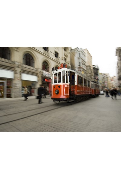 Cici Wallpaper 215 x 150 cm 3 Boyutlu Duvar Kağıdı Poster