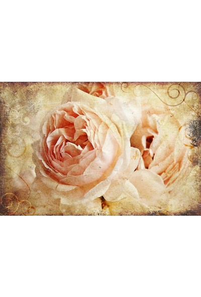 Cici Wallpaper 320 x 270 cm 3 Boyutlu Duvar Kağıdı Poster Cici Wallpaper 320 x 270 cm 3 Boyutlu Duvar Kağıdı Poster