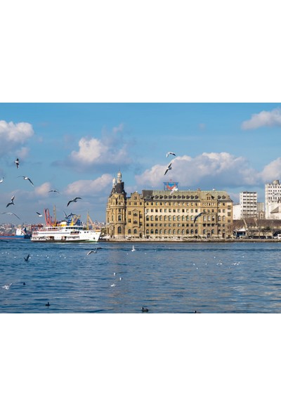 Cici Wallpaper 320 x 200 cm 3 Boyutlu Duvar Kağıdı Poster