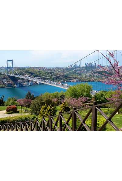 Cici Wallpaper 320 x 200 cm 3 Boyutlu Duvar Kağıdı Poster