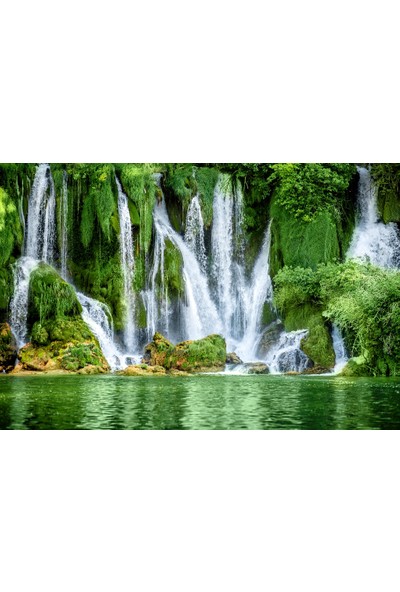 Cici Wallpaper 320 x 200 cm 3 Boyutlu Duvar Kağıdı Poster